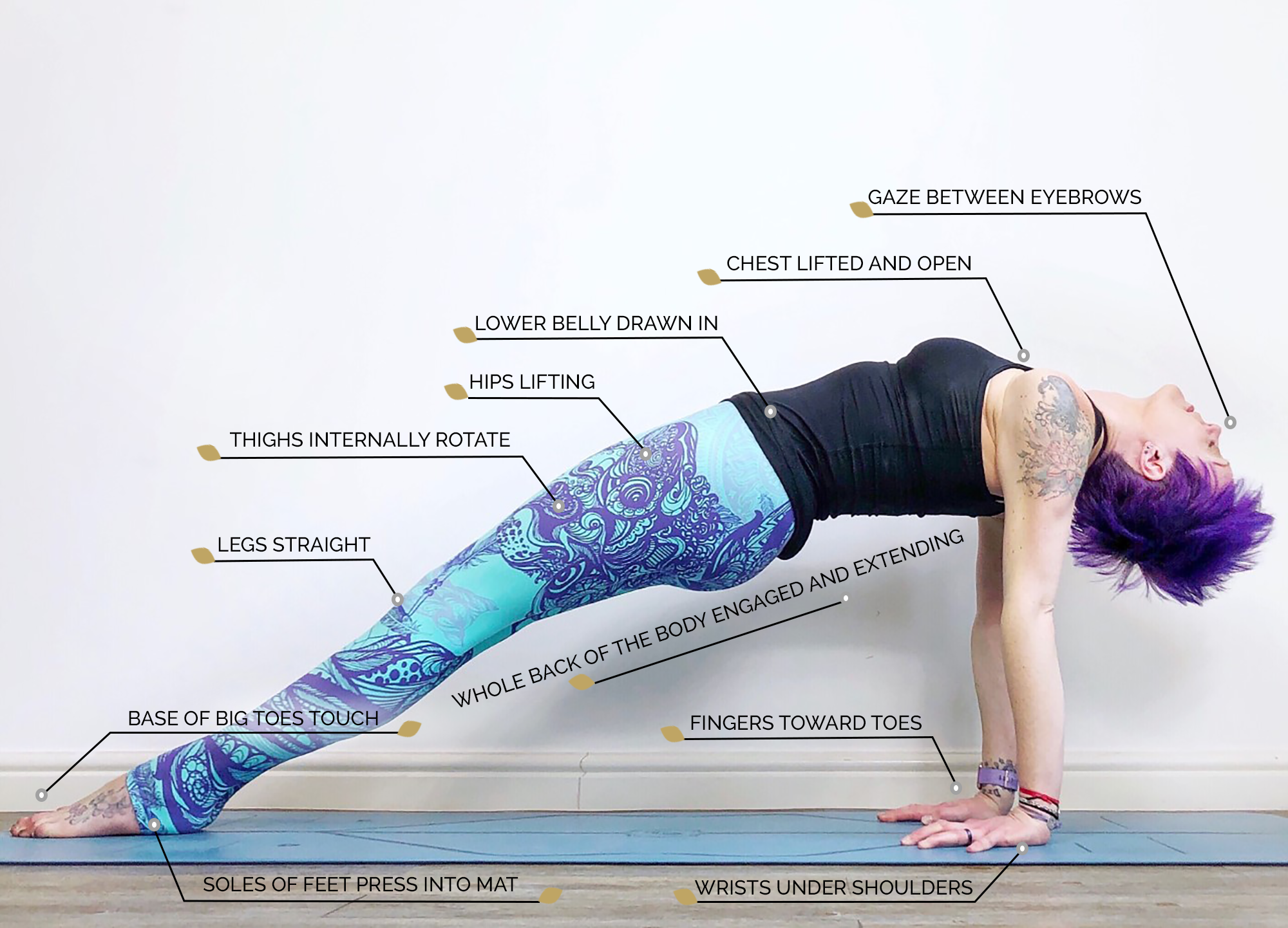 Plank Pose: Where the Body Goes the Mind Will Follow – Omstars