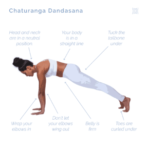 Weekly Pose Tutorial: Chaturanga Dandasana (Four-Pointed Staff Pose ...