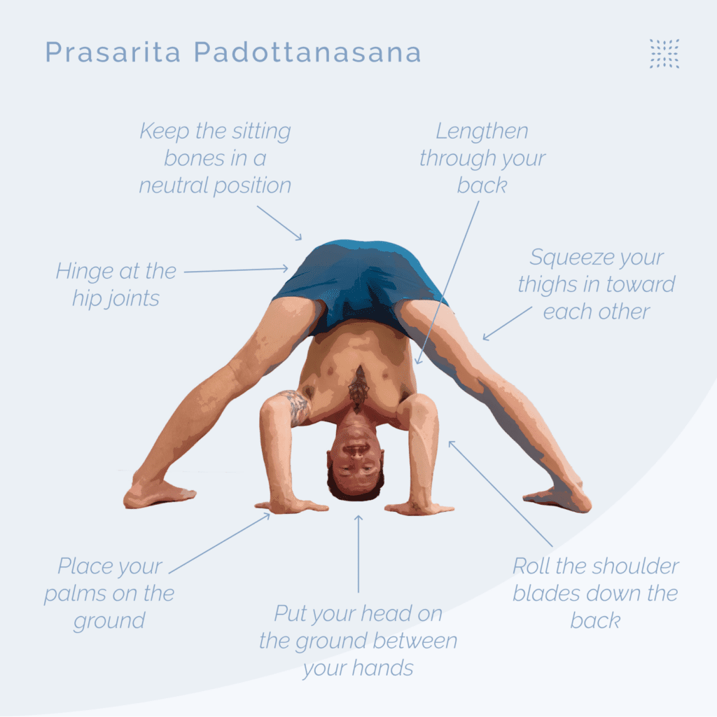 How to do Prasarita Padottanasana (Wide-Legged Forward Bend) – Omstars