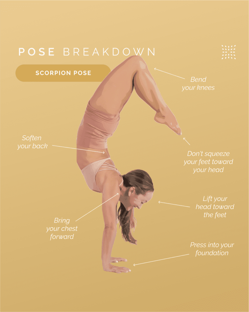 How to do Scorpion Pose – Omstars