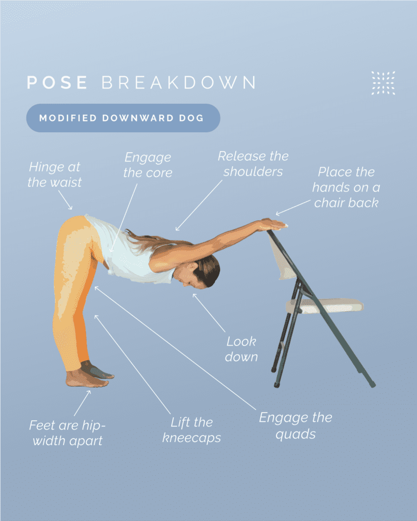 How to do Modified Downward Dog – Omstars